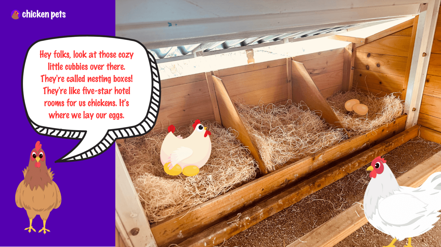 Chicken Nesting Materials. Best Options for Chickens - Chicken Pets