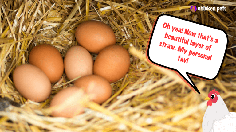 Chicken Nesting Materials. Best Options for Chickens - Chicken Pets