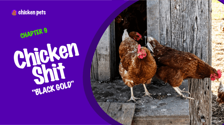 Backyard Chickens: The Beginner's Guide - Chicken Pets