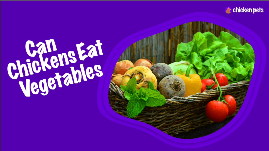 Can Chickens Eat Vegetables? - Chicken Pets