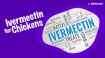Ivermectin for Chickens or Poultry - Chicken Pets